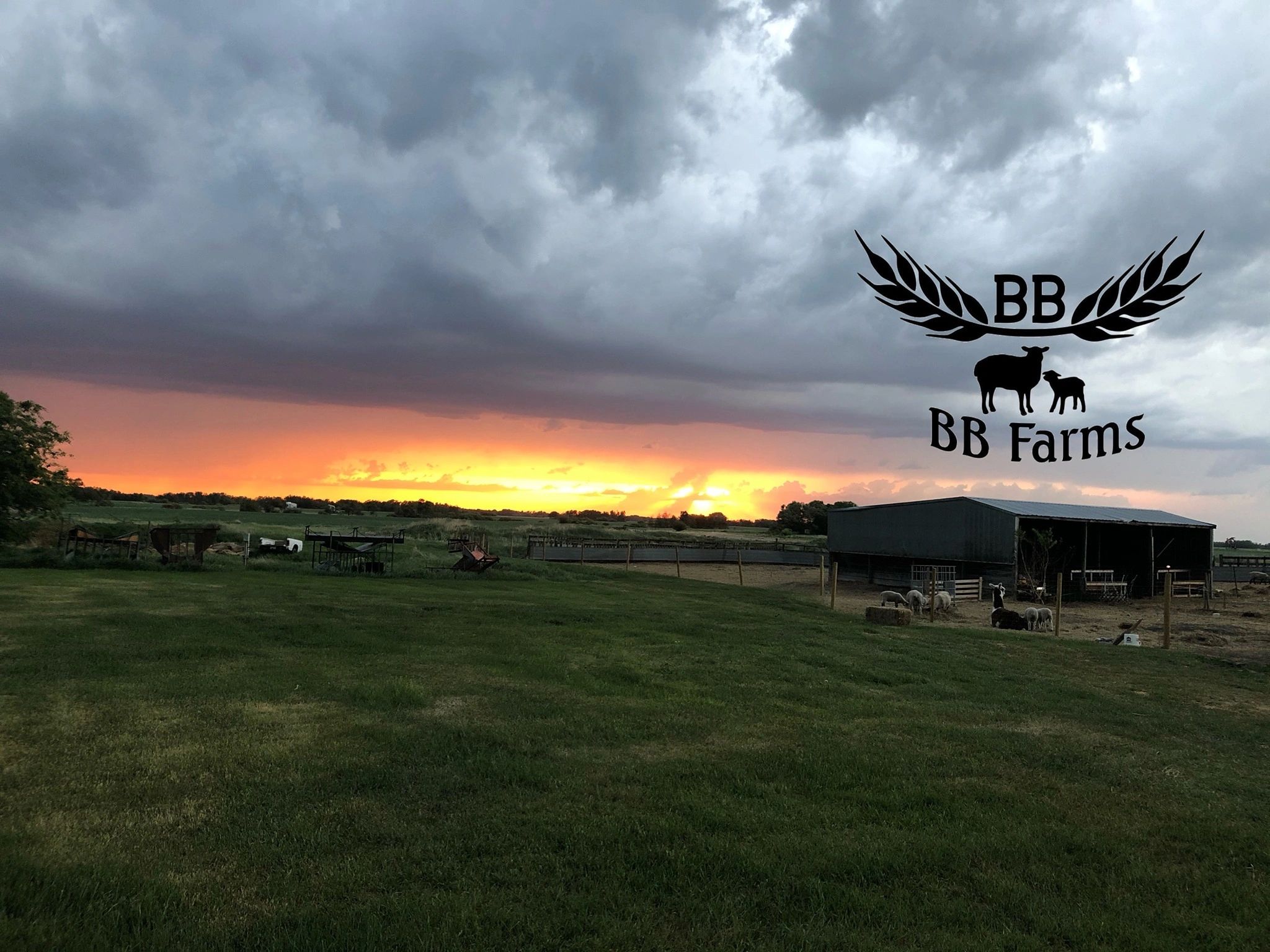 Bb Farms